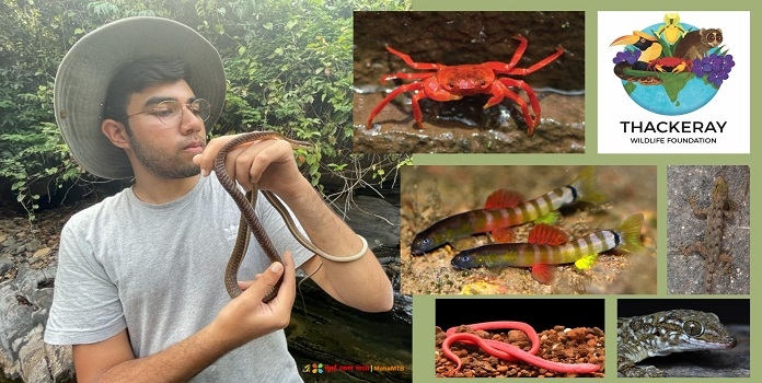 tejas thackeray interview - Marathi News | Mumbai Tarun Bharat